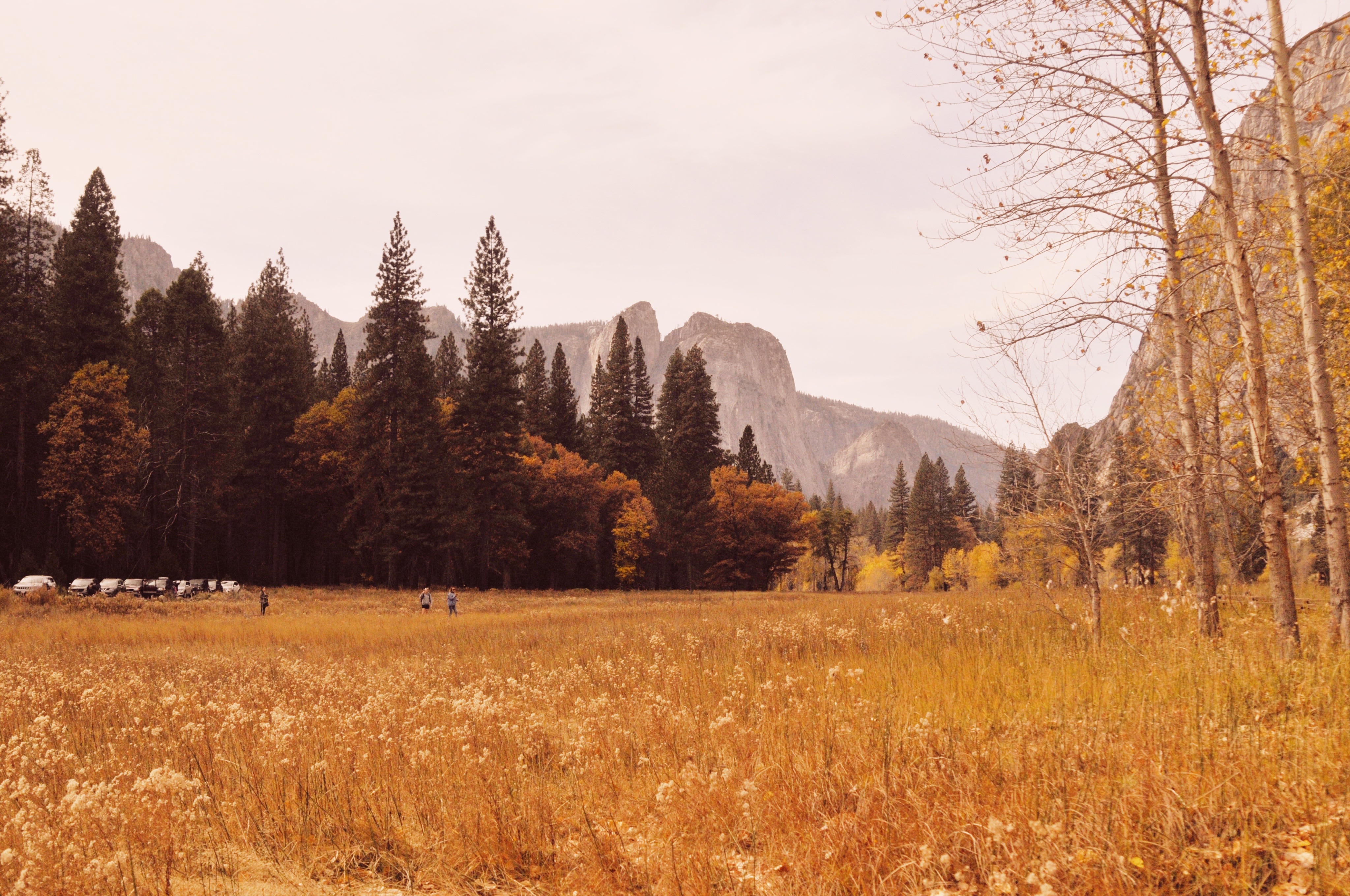 Fall in Yosemite | A Guide to Visiting Yosemite National Park in Fall
