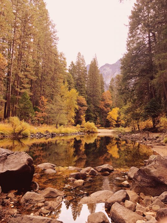 Fall in Yosemite | Everything You Need to Know About Visiting Yosemite ...