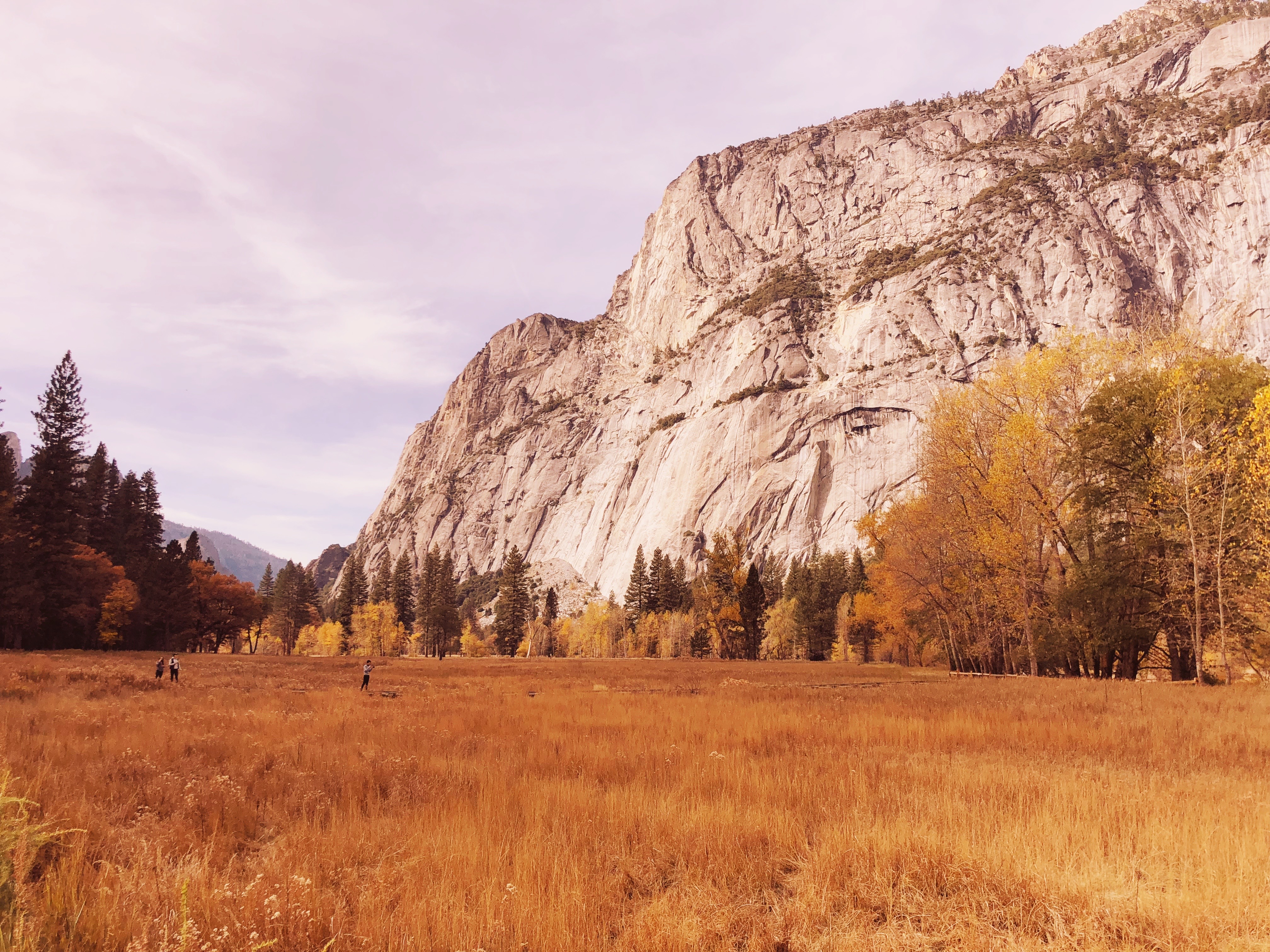 Fall in Yosemite | A Guide to Visiting Yosemite National Park in Fall