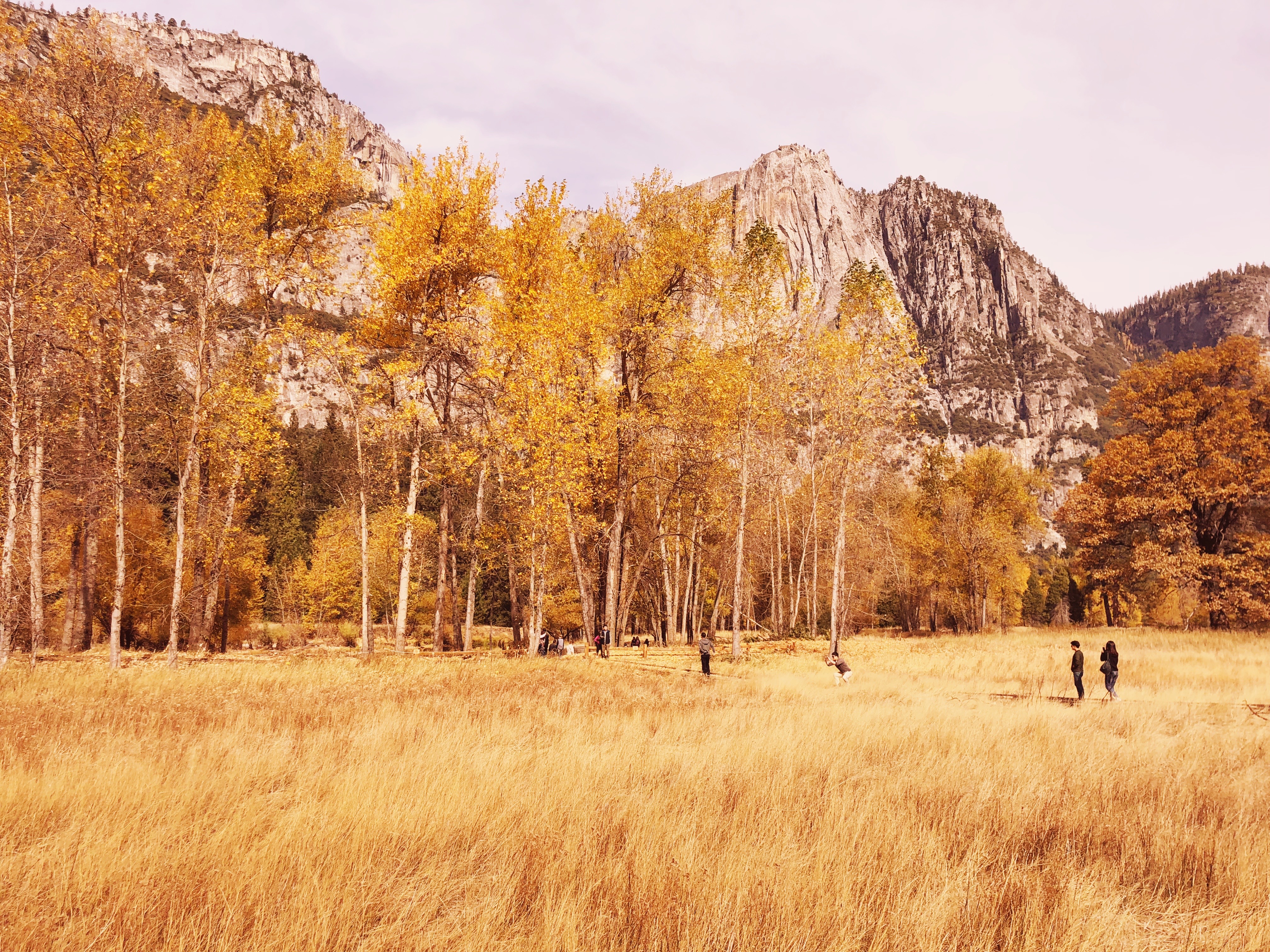 Fall in Yosemite | A Guide to Visiting Yosemite National Park in Fall