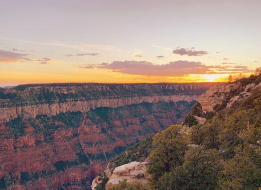 130 + Fun Things to Do in Orange County | The Ultimate Orange County ...