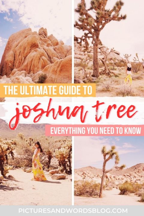 Joshua Tree Day Trip Guide | One Day in Joshua Tree Itinerary