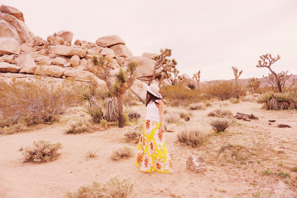 Joshua Tree Day Trip Guide | One Day in Joshua Tree Itinerary