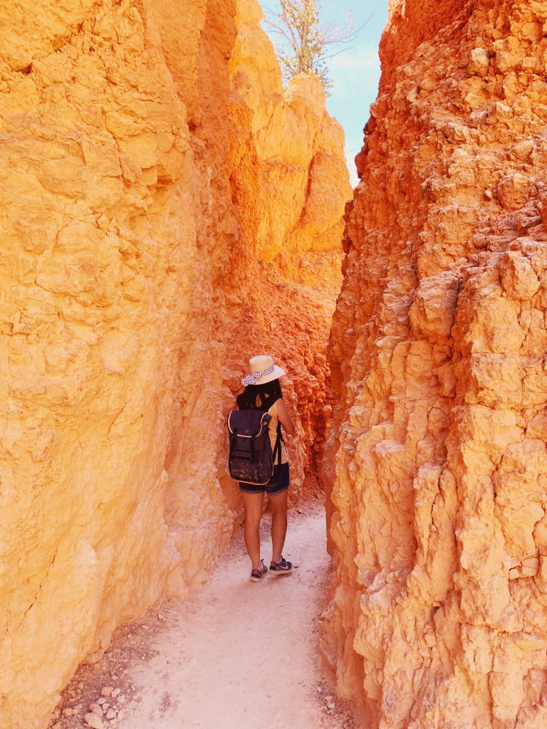 The Perfect One Day in Bryce Canyon Itinerary