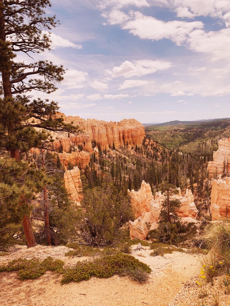 The Perfect One Day in Bryce Canyon Itinerary