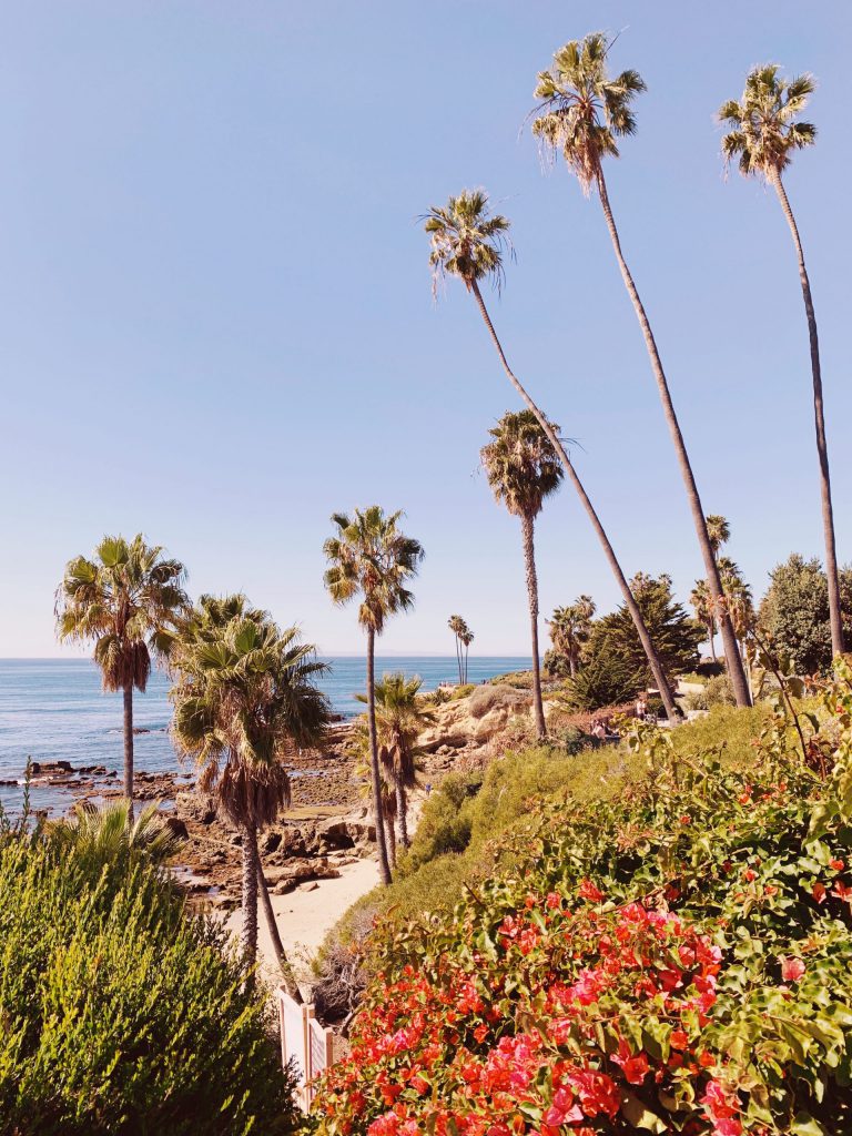8 Best Laguna Beach Photo Spots (Beaches, Art, Views + More)