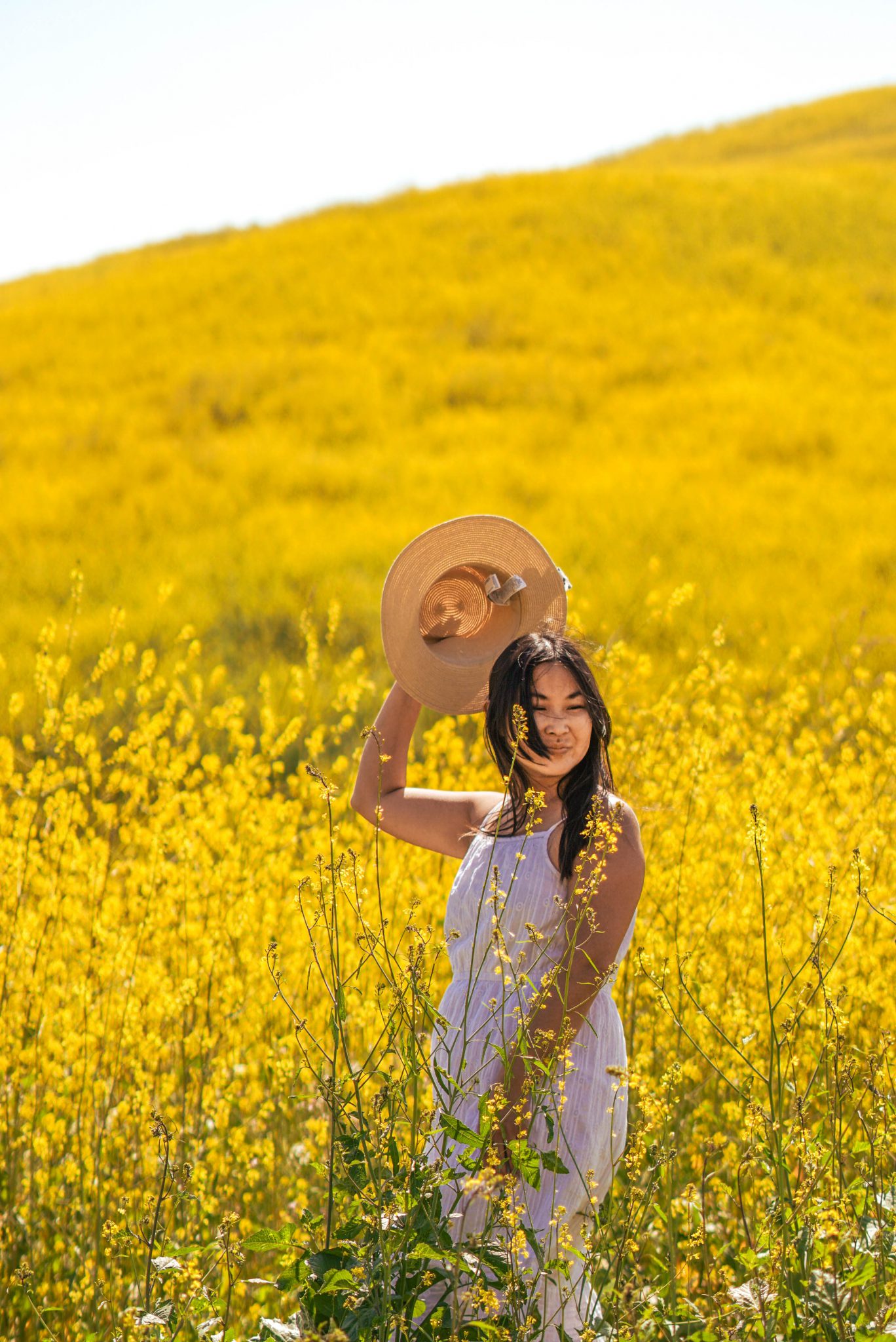 How to See the Chino Hills State Park Wildflowers (Mustard Blooms ...