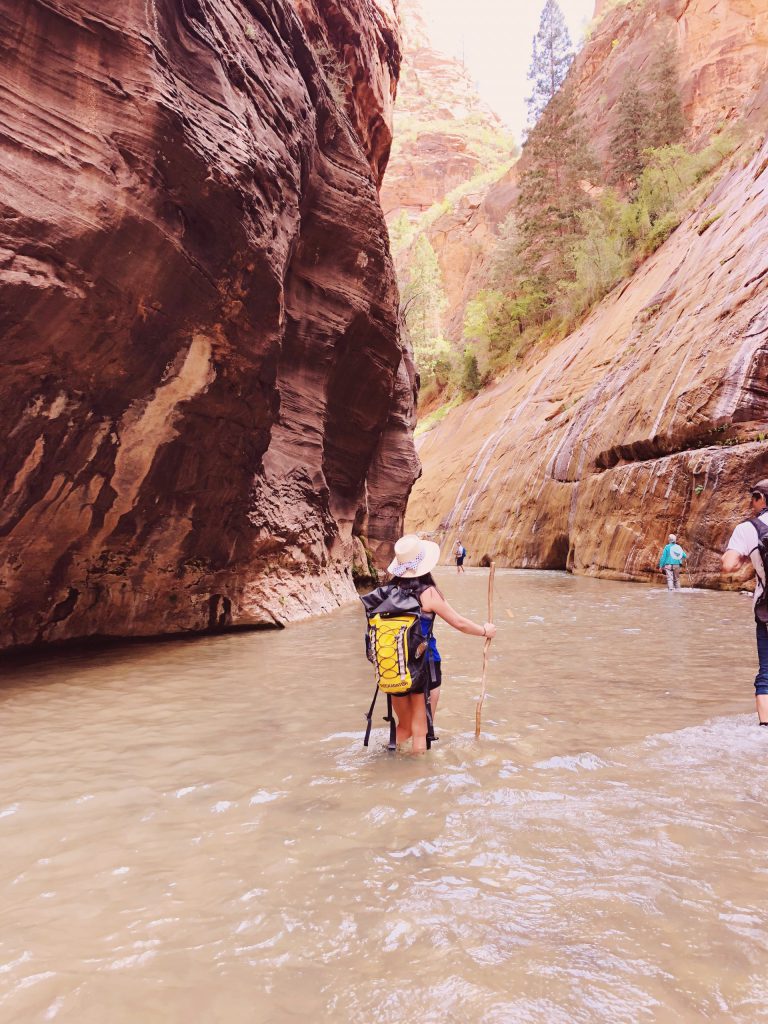 The Narrows Hike in Zion National Park (Bottom-up Day Hike)