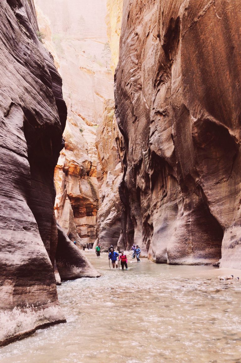 The Narrows Hike in Zion National Park (Bottom-up Day Hike)