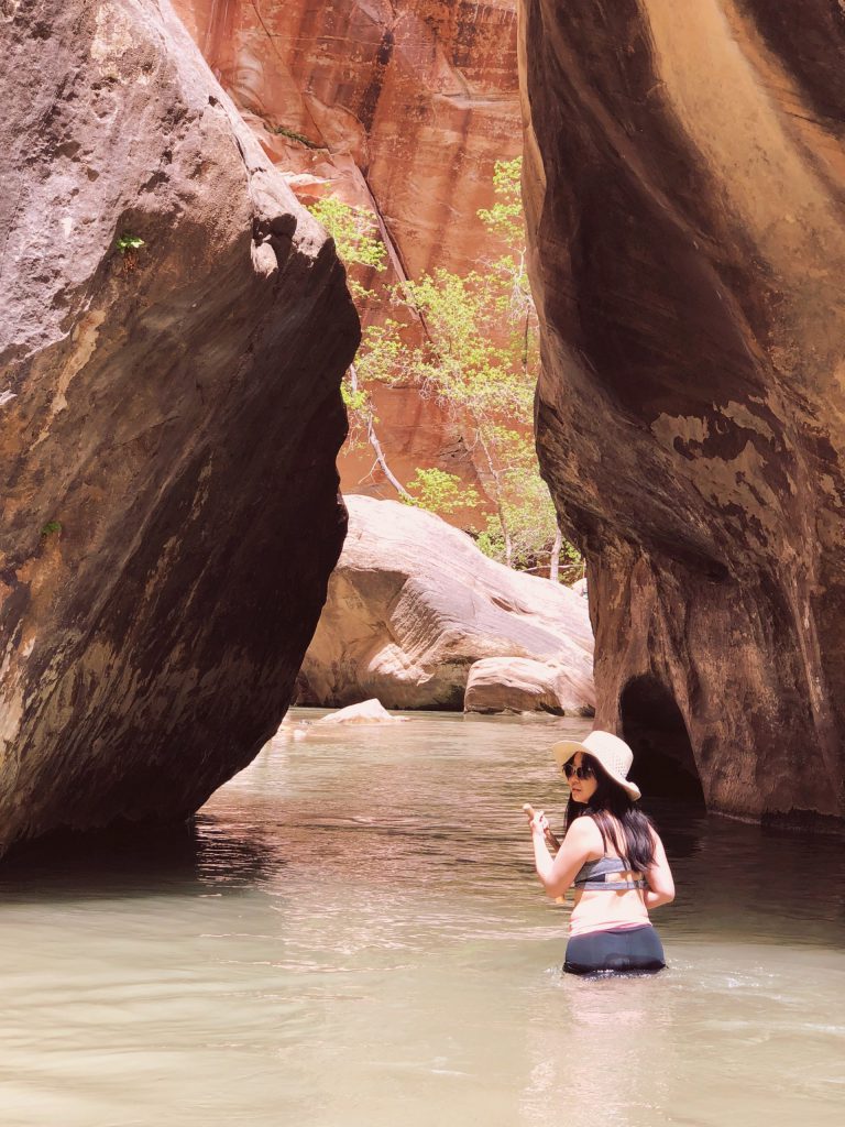 The Narrows Hike in Zion National Park (Bottom-up Day Hike)