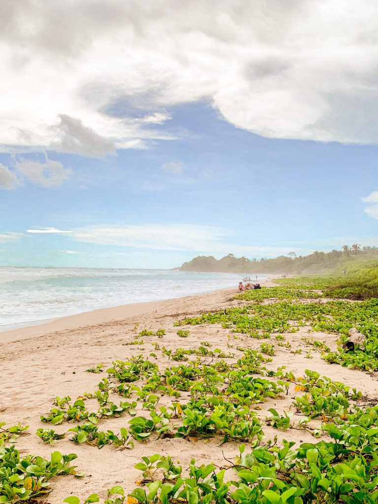 14 Fun Things to Do in Nosara: Costa Rica's Pura Vida Surf Town ...