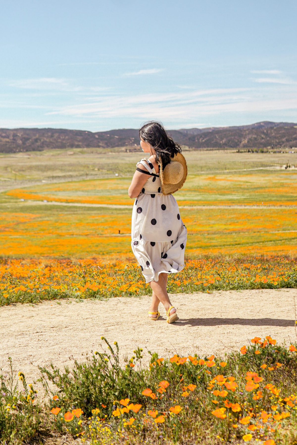 A Complete Guide to the Lancaster Poppies at Antelope Valley Poppy ...