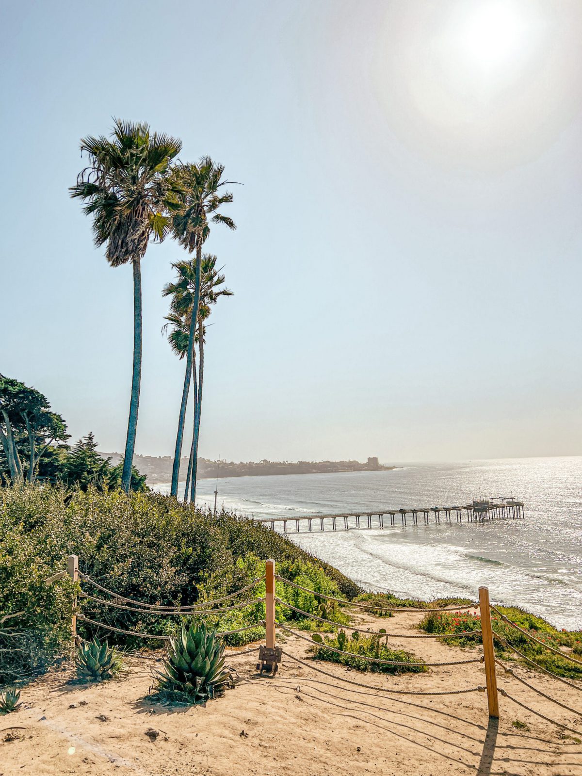 15 Fun Things to Do in Pacific Beach San Diego - Pictures & Words