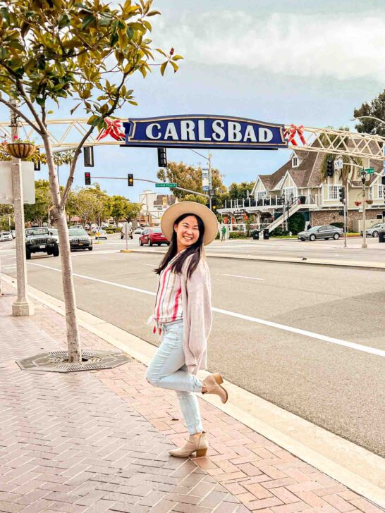 25 Fun Things to Do in Carlsbad, California: A Complete Guide ...