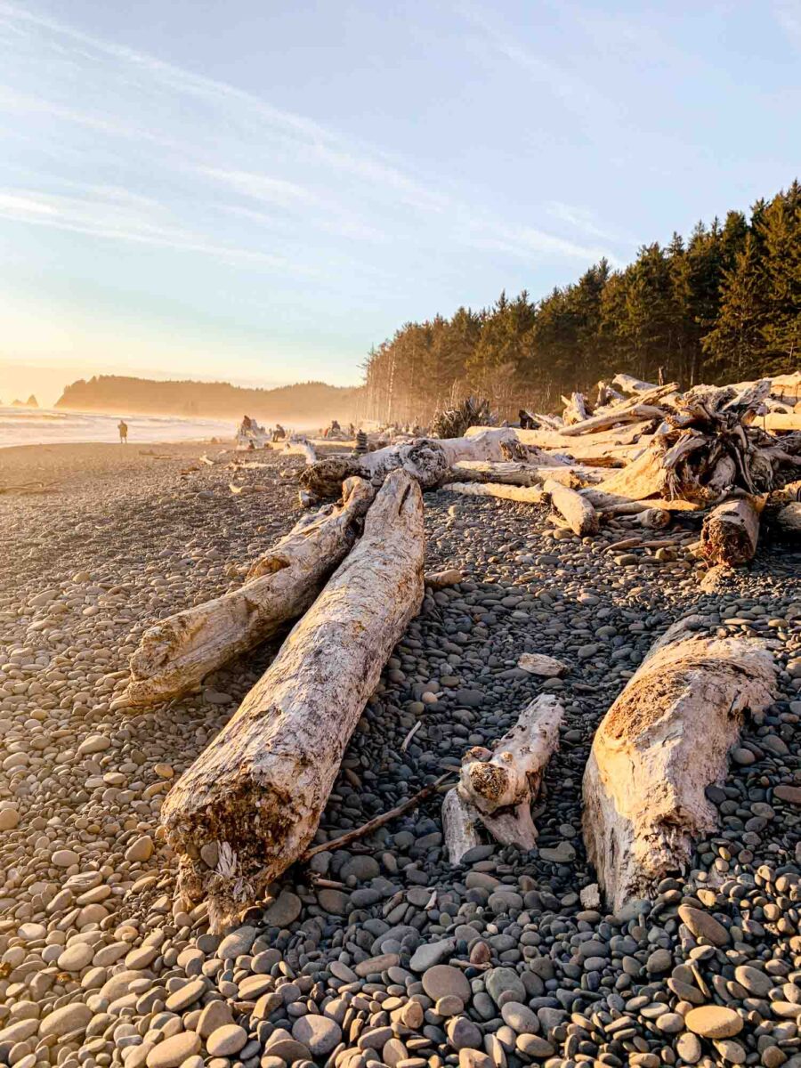 A Very Detailed 2 Days in Olympic National Park Itinerary - How to Plan ...