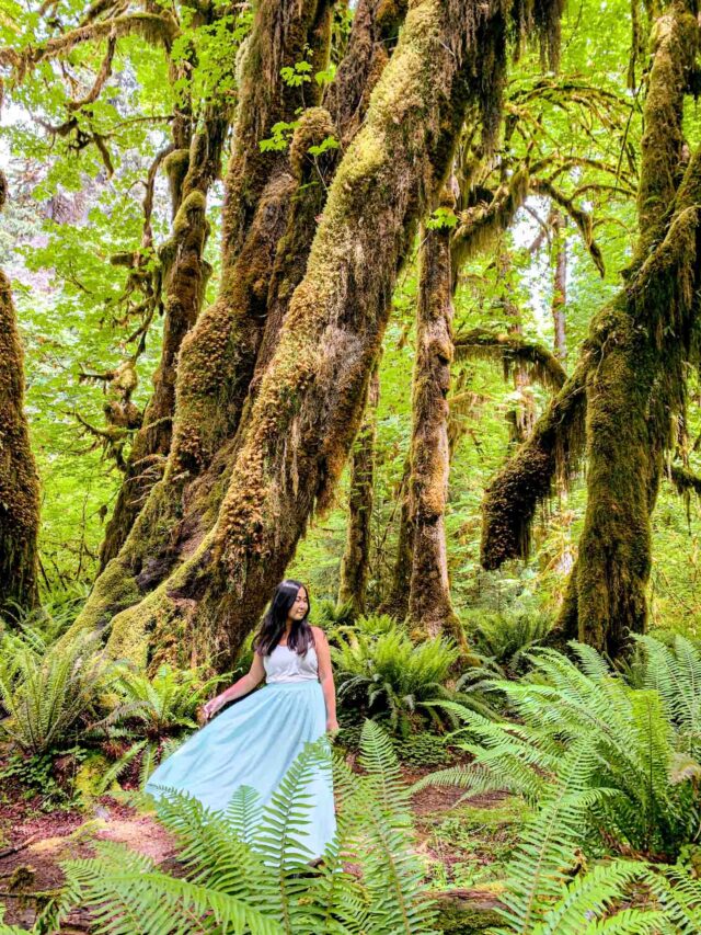 A Very Detailed 2 Days in Olympic National Park Itinerary - How to Plan ...