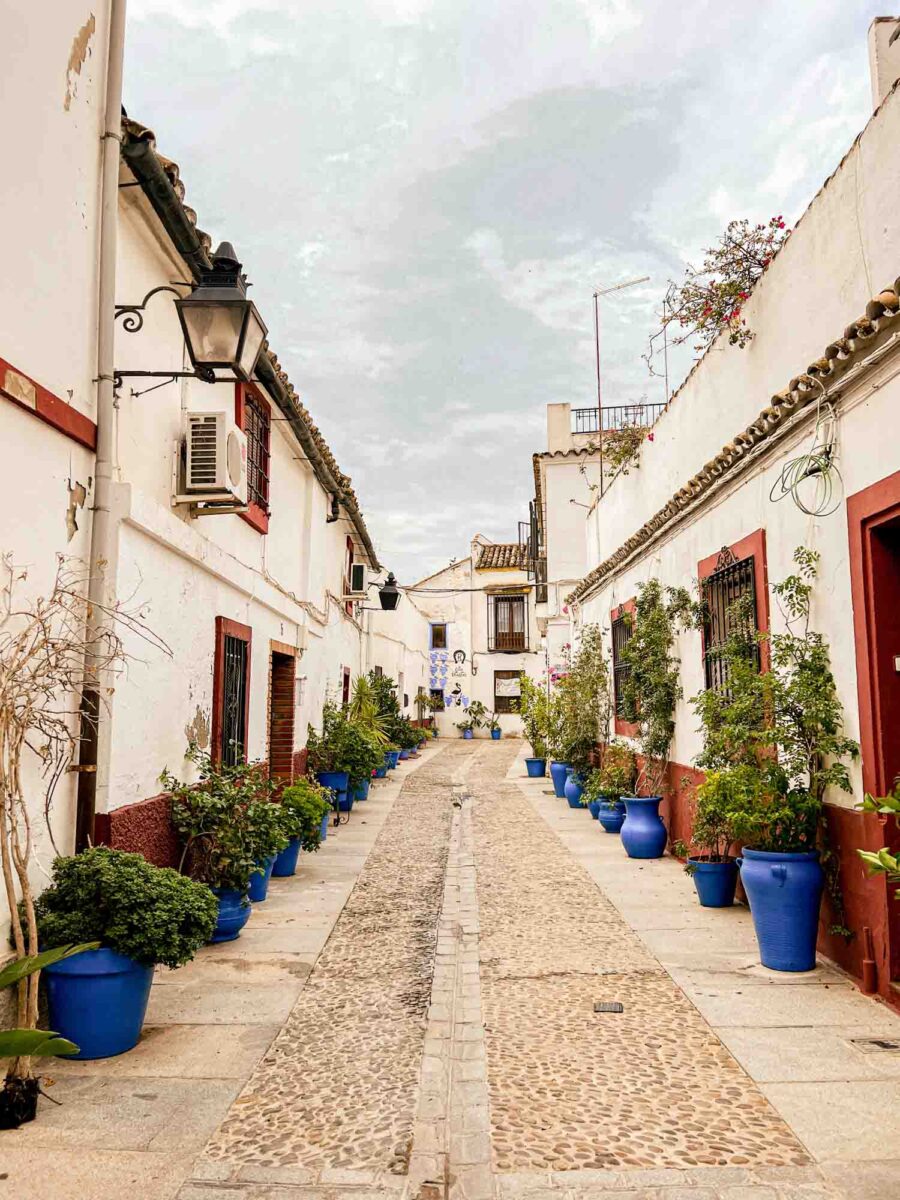 The Perfect Cordoba Day Trip: See the Best of Cordoba in One Day ...