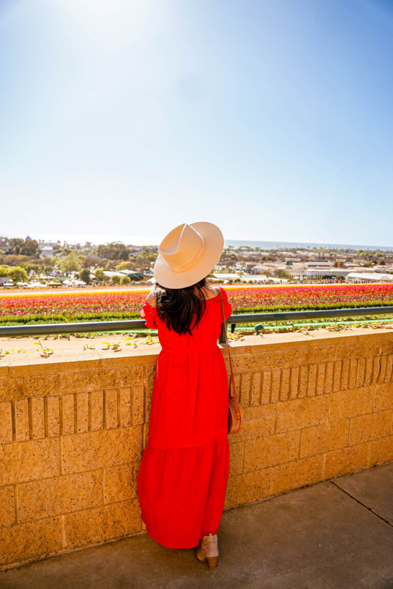 A Colorful Spring Getaway in Carlsbad, CA - Pictures & Words