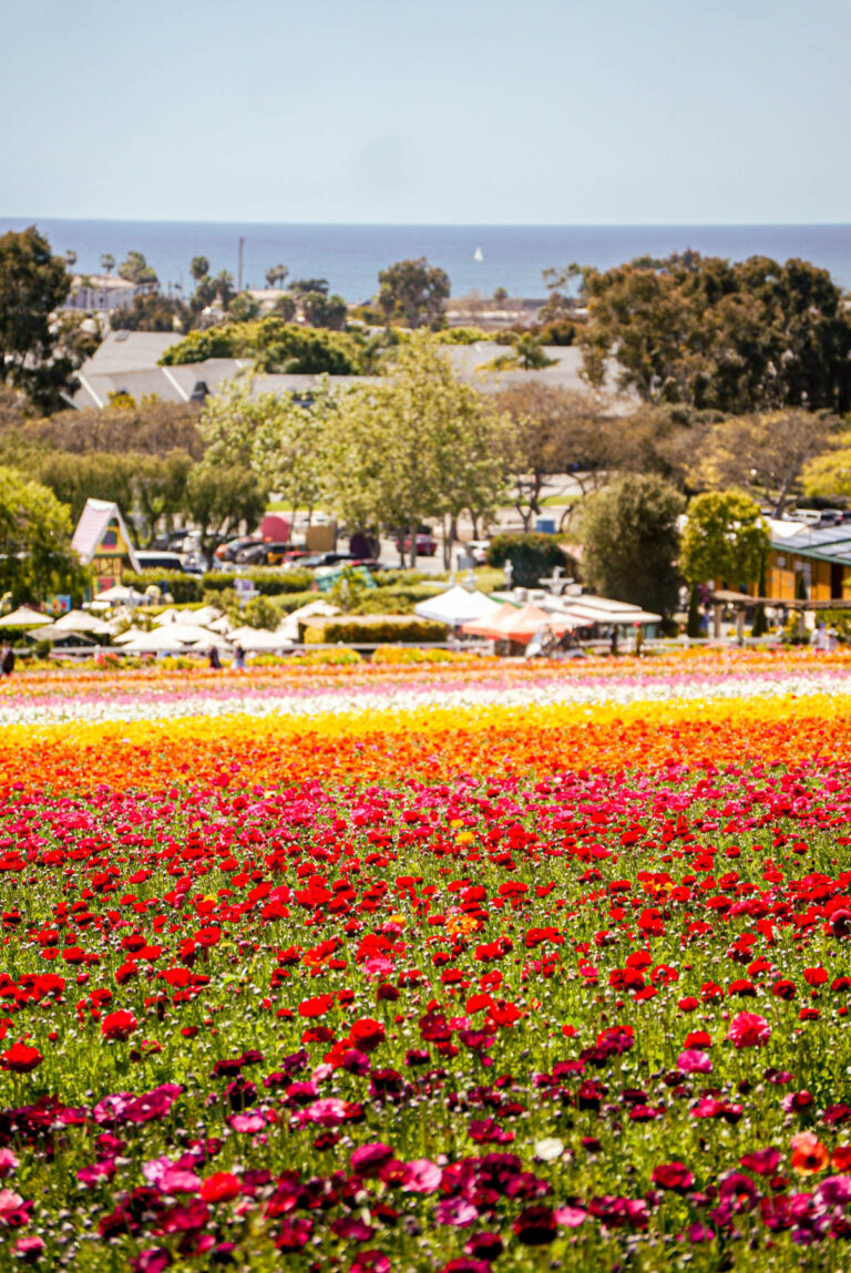 A Colorful Spring Getaway in Carlsbad, CA - Pictures & Words