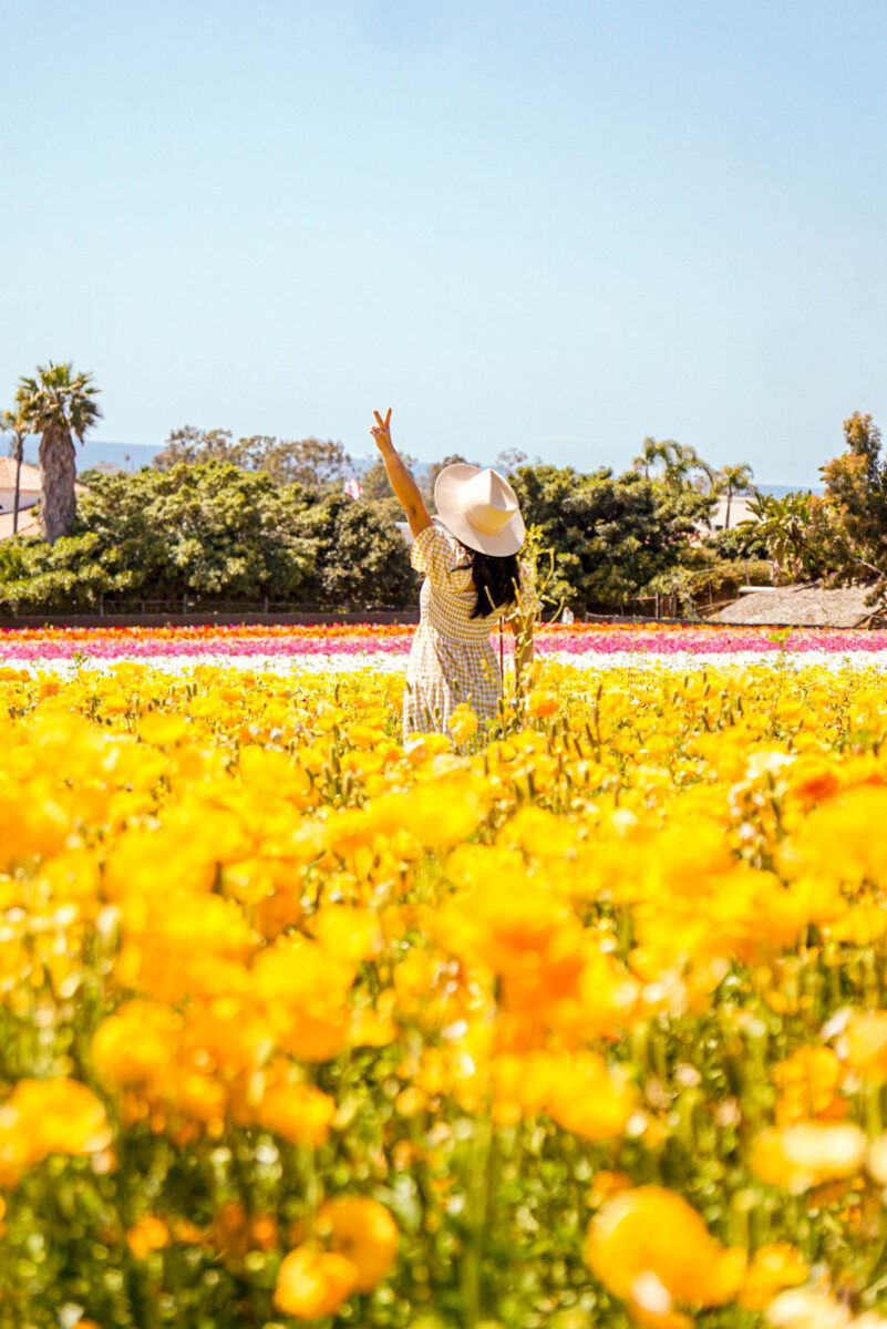 A Colorful Spring Getaway in Carlsbad, CA - Pictures & Words