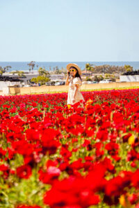 A Colorful Spring Getaway in Carlsbad, CA - Pictures & Words