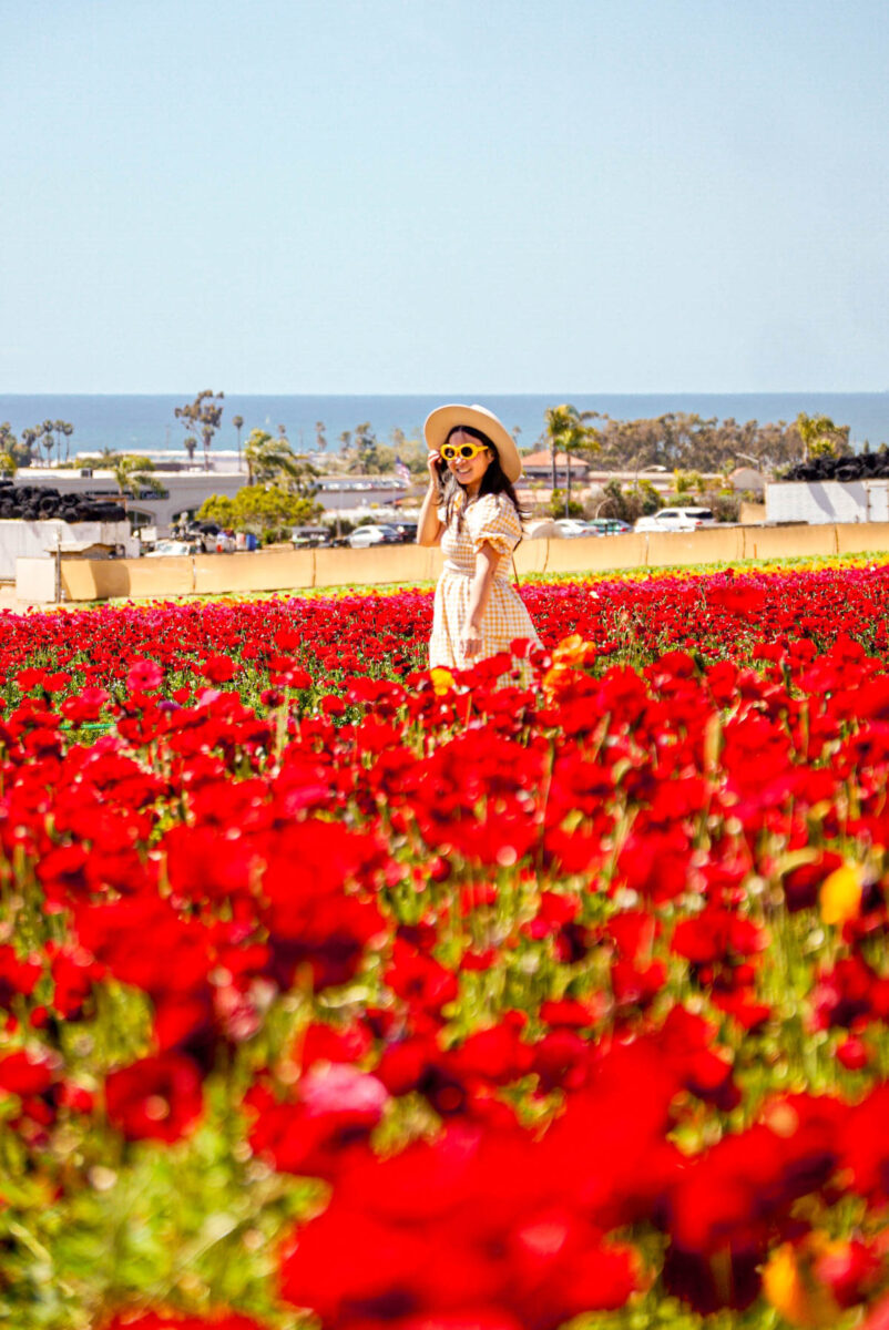 A Colorful Spring Getaway in Carlsbad, CA - Pictures & Words
