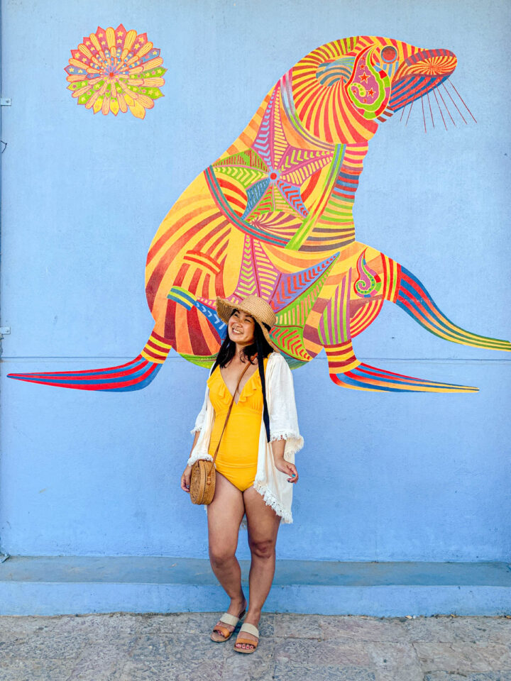 15 Best Things to Do in San Jose del Cabo: A Complete Travel Guide ...