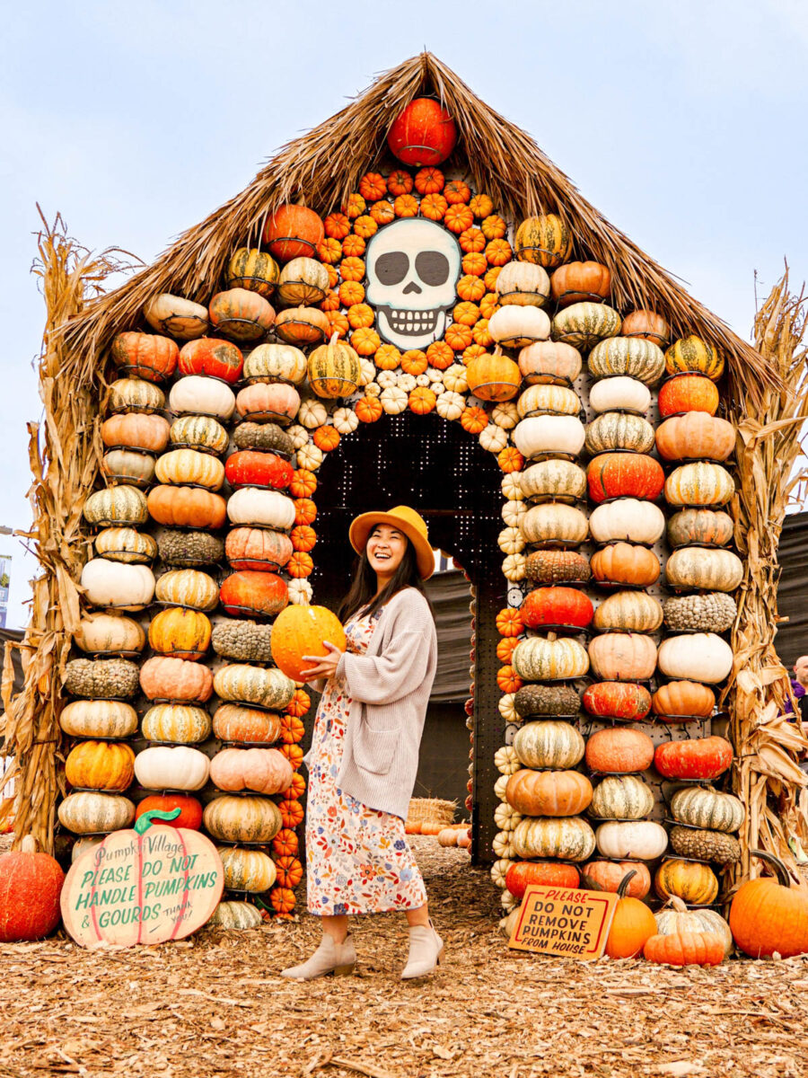 Best Los Angeles Pumpkin Patches: 10 Pumpkin Patches in + Around LA to ...