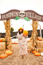 30 Fun Fall Activities in Orange County (2024): Best Orange County ...