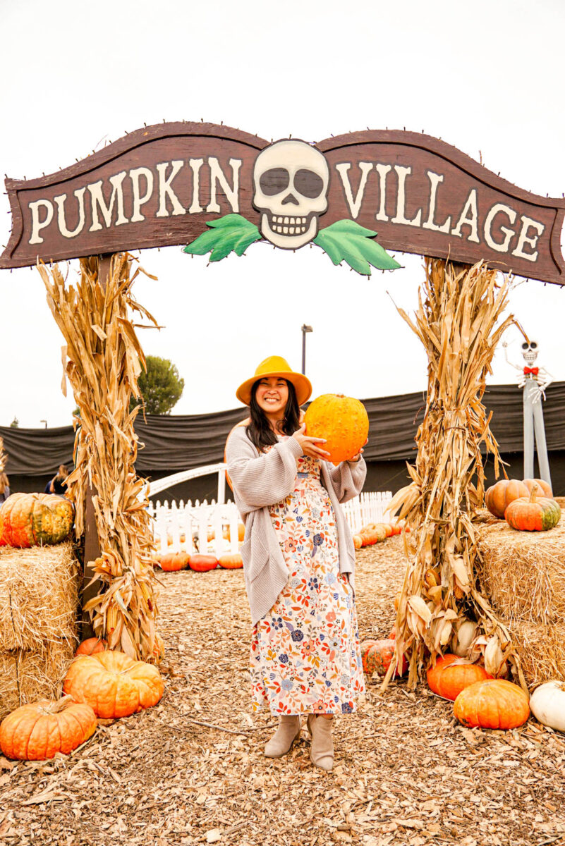 30 Fun Fall Activities in Orange County (2024): Best Orange County ...