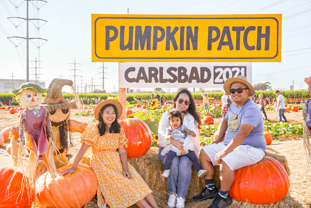30 Fun Fall Activities in Orange County (2024): Best Orange County ...