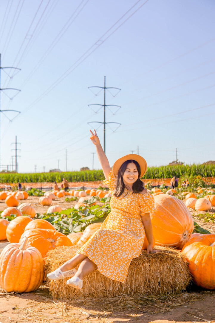 30 Fun Fall Activities in Orange County (2024): Best Orange County ...