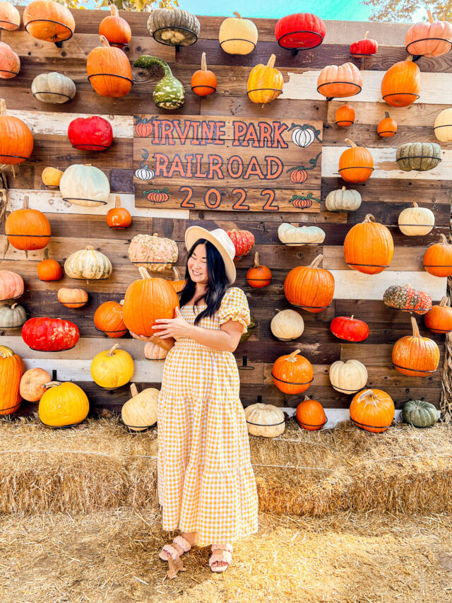 30 Fun Fall Activities in Orange County (2024): Best Orange County ...