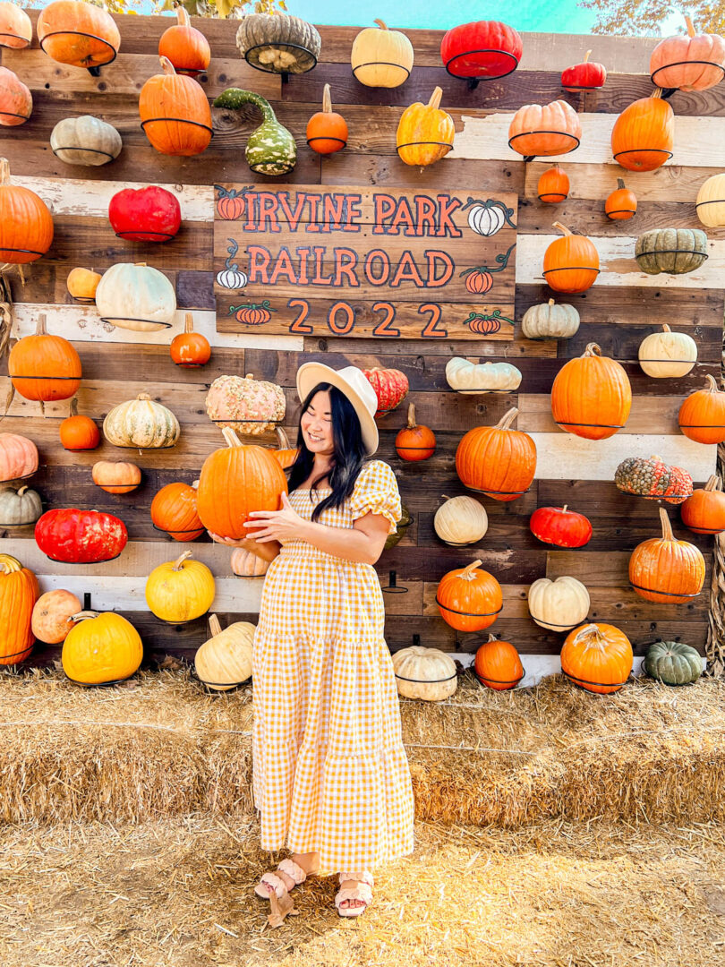 30 Fun Fall Activities in Orange County (2024): Best Orange County ...