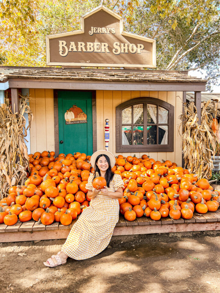 30 Fun Fall Activities in Orange County (2024): Best Orange County ...
