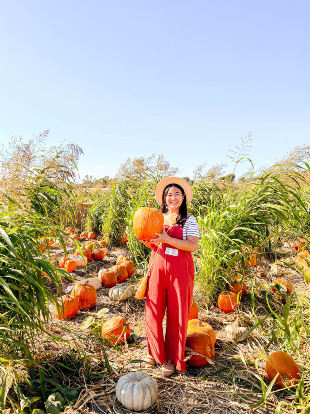 30 Fun Fall Activities in Orange County (2024): Best Orange County ...