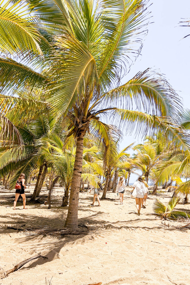 One Day Visiting the Puerto Rico West Coast: Things to Do + Tips for ...