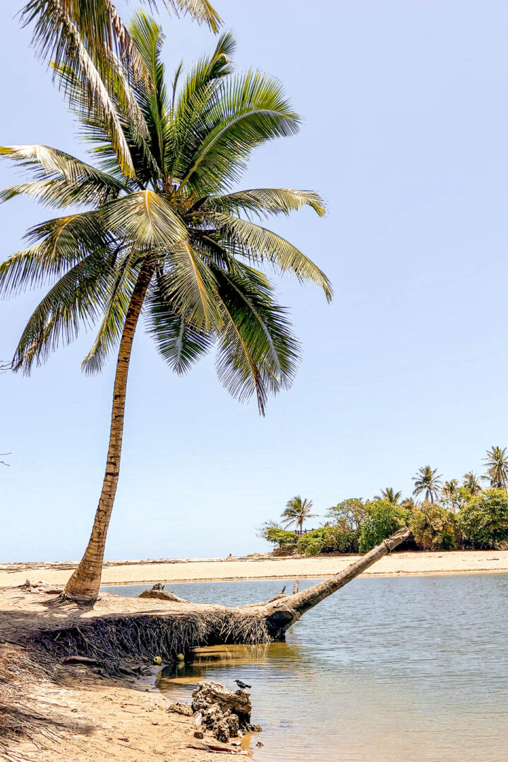 One Day Visiting the Puerto Rico West Coast: Things to Do + Tips for ...